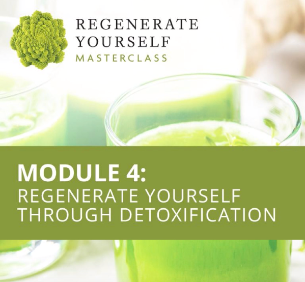 Regenerate Yourself Masterclass – Regenerate Project