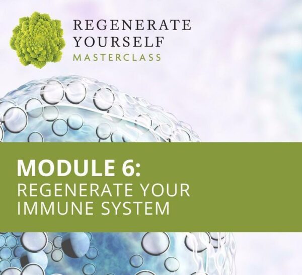 Regenerate Yourself Masterclass – Regenerate Project